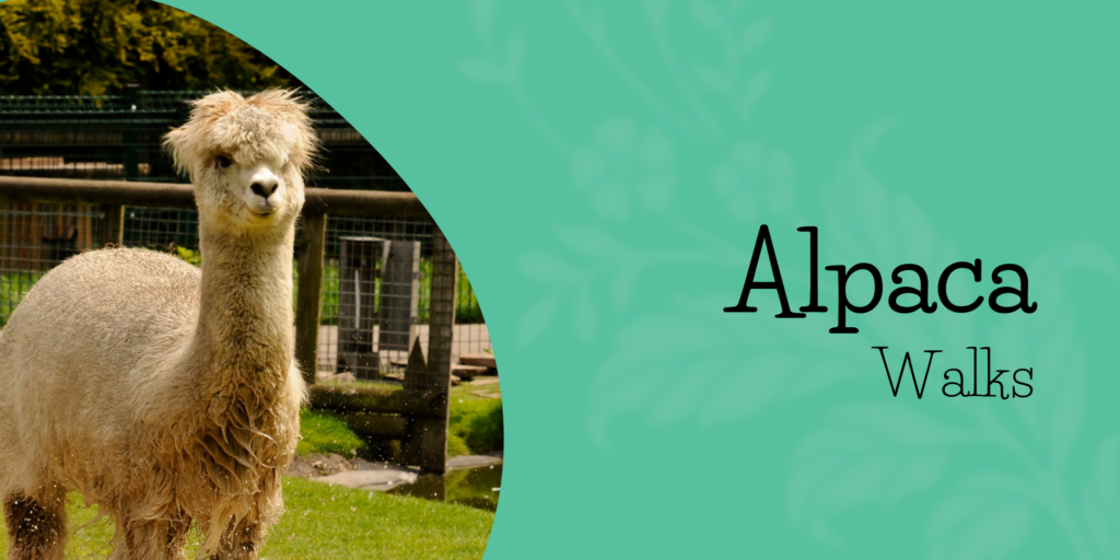 Events - Walton Hall and Gardens