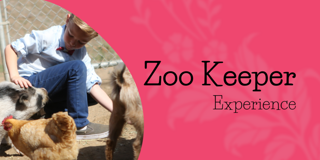 Zoo Keeper Experience - Walton Hall and Gardens