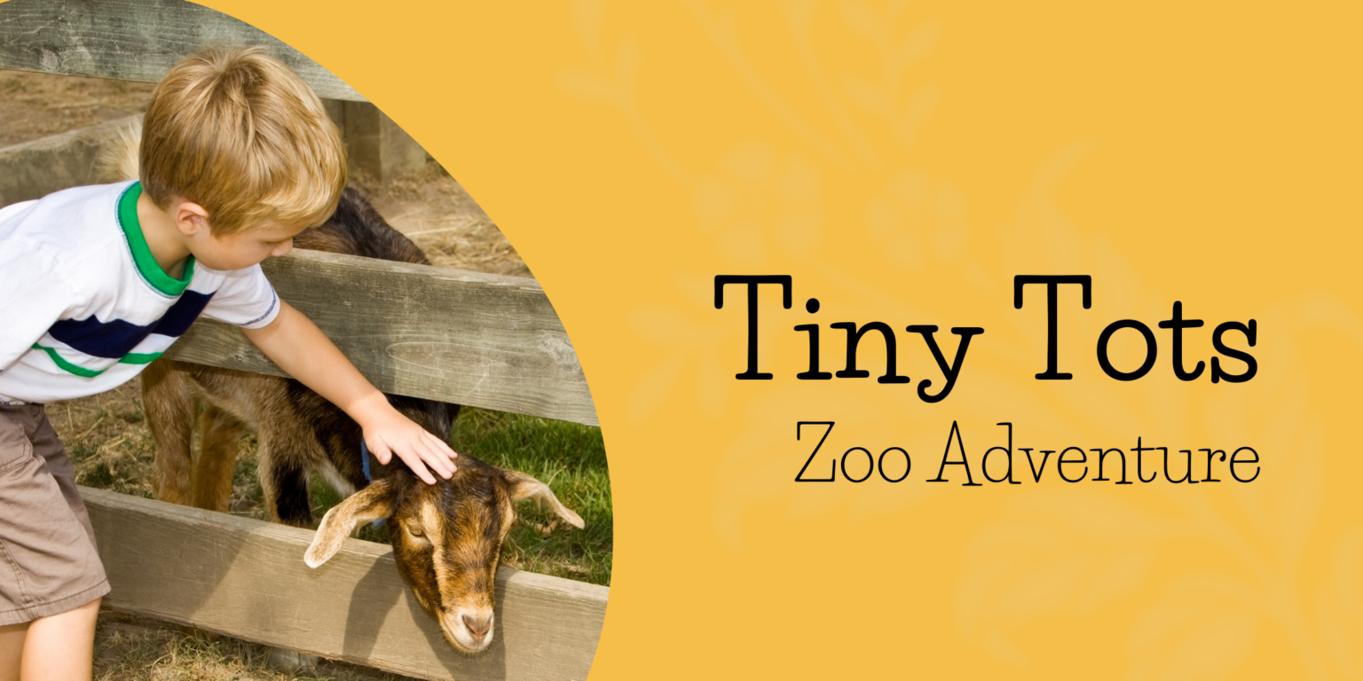 Tiny Tots Zoo Adventure - Walton Hall and Gardens