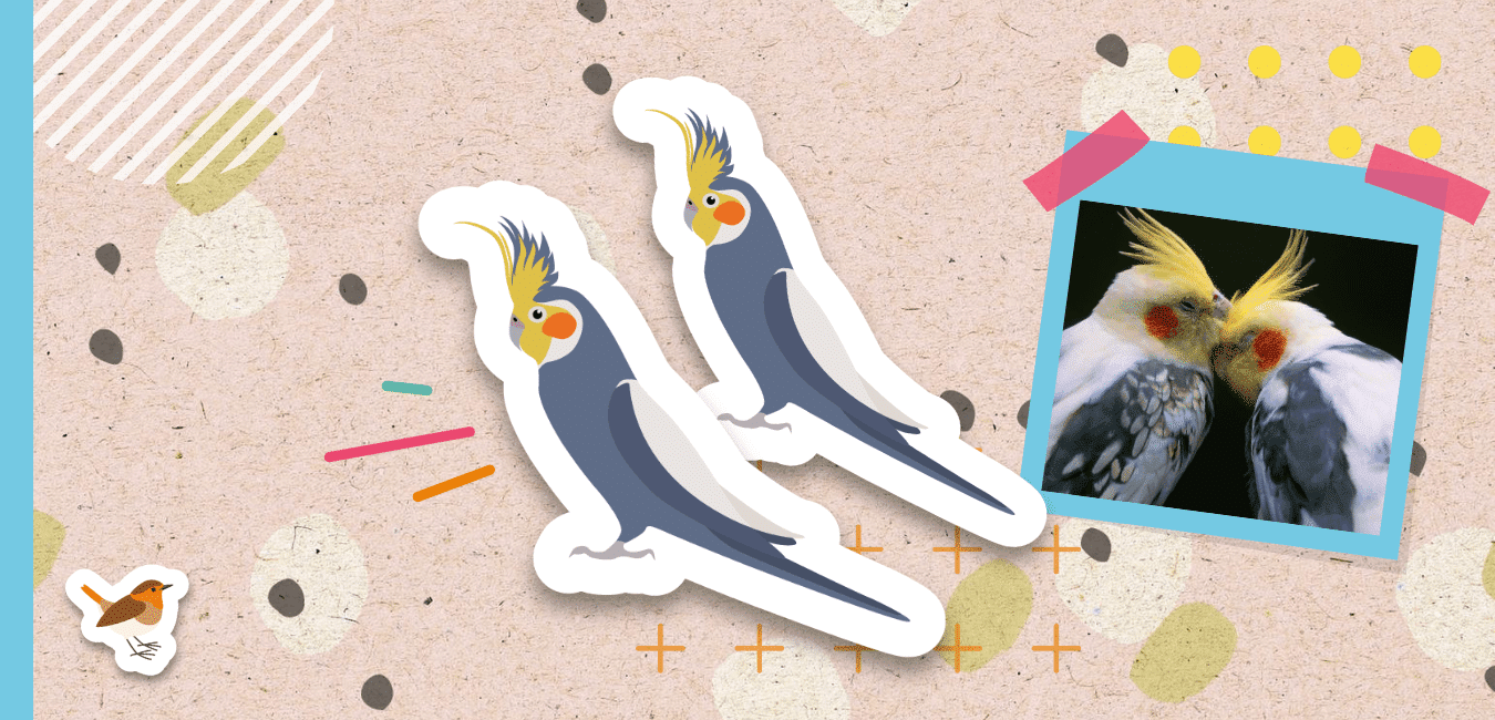 Animals at the Children's Zoo - Walton Hall and Gardens