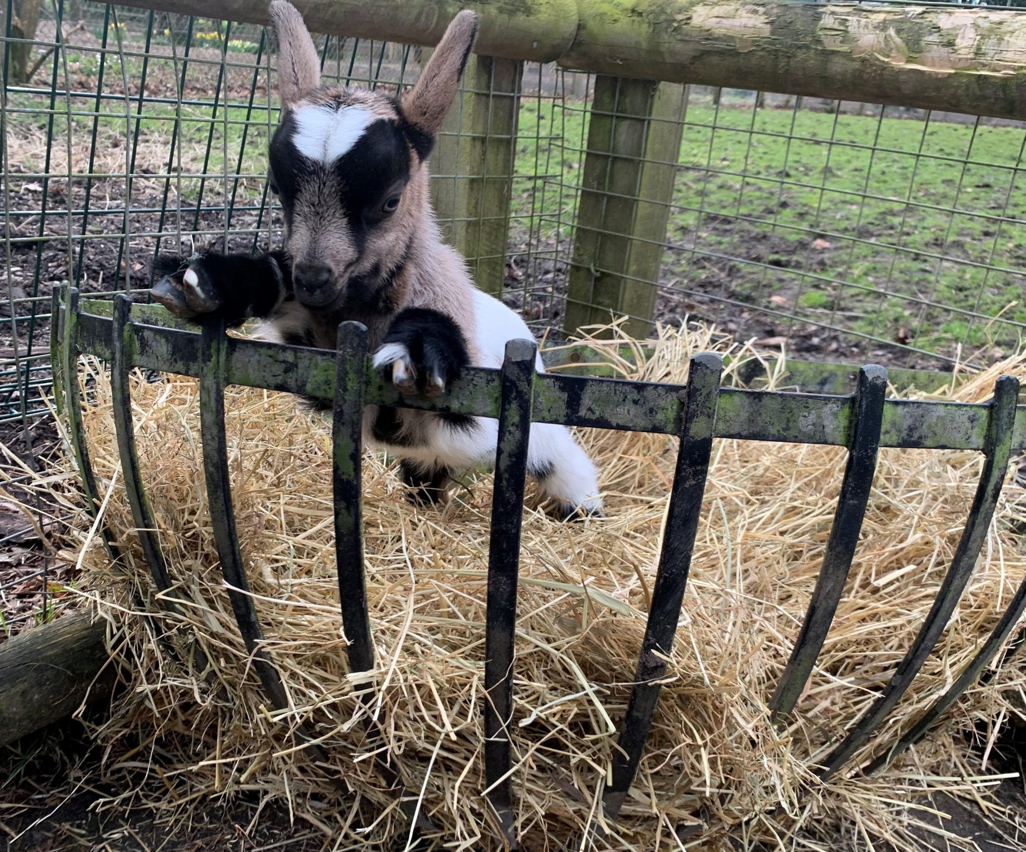 Home Page - Walton Hall and Gardens